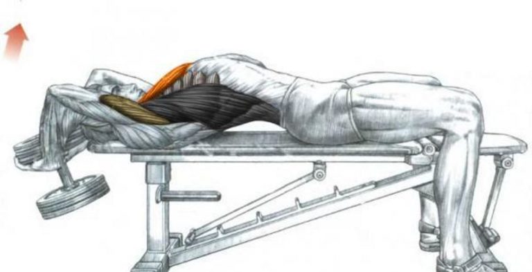 » Pullover: Um Só Exercício 4 Músculos Trabalhados